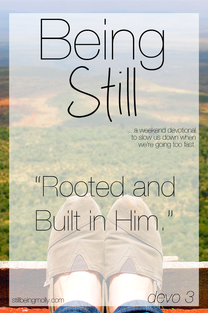 Being Still | Rooted and Built in Him - Still Being Molly
