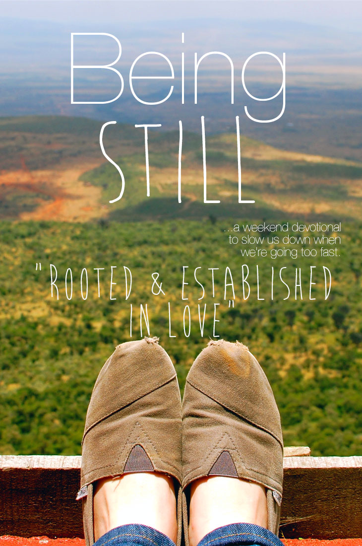 Being Still | Rooted & Established in Love - Still Being Molly