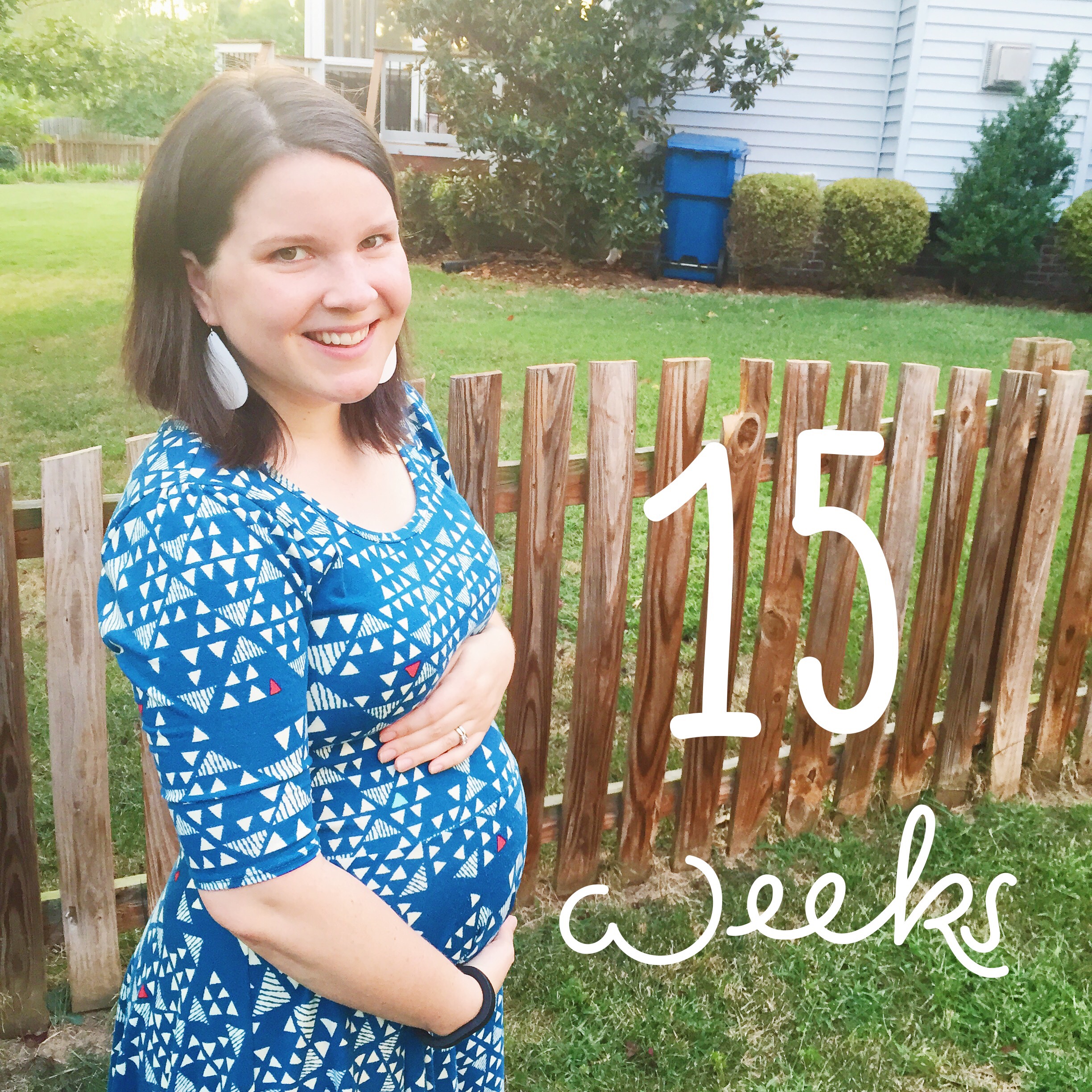 15 Week Bumpdate - Still Being Molly