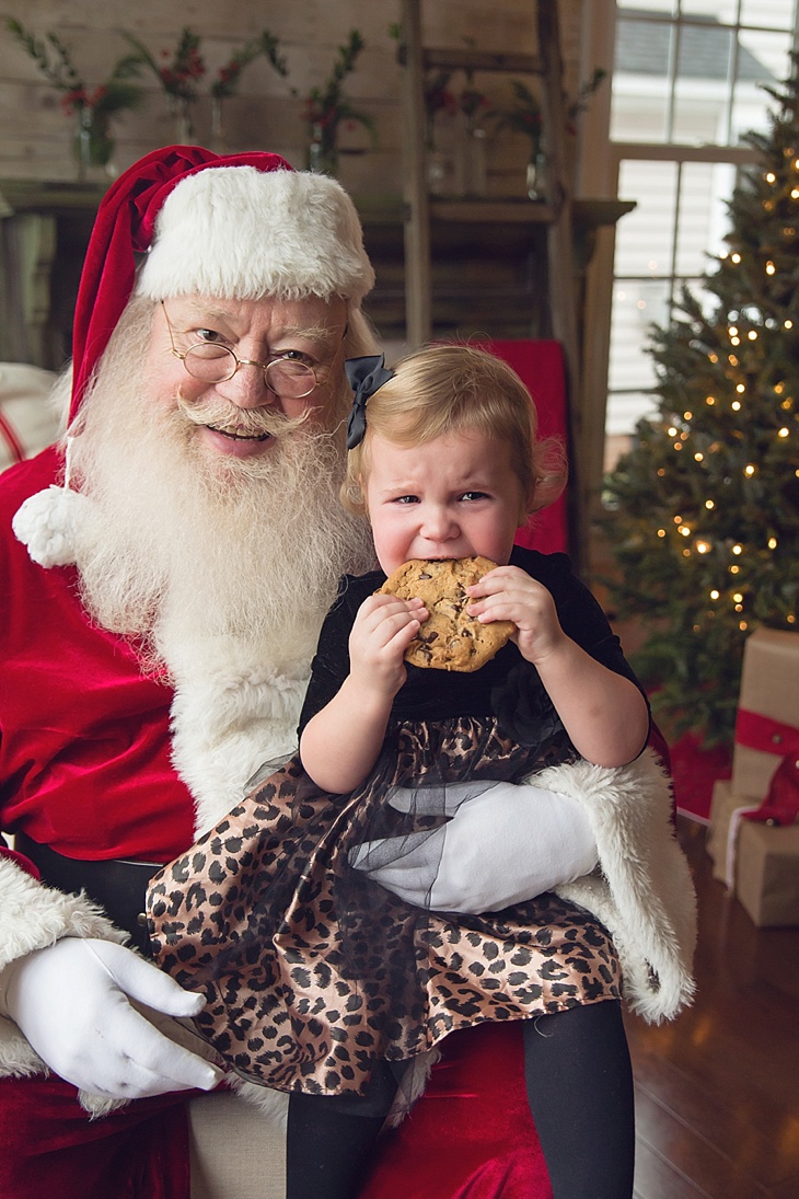 Lilly's Santa Mini Session - Still Being Molly