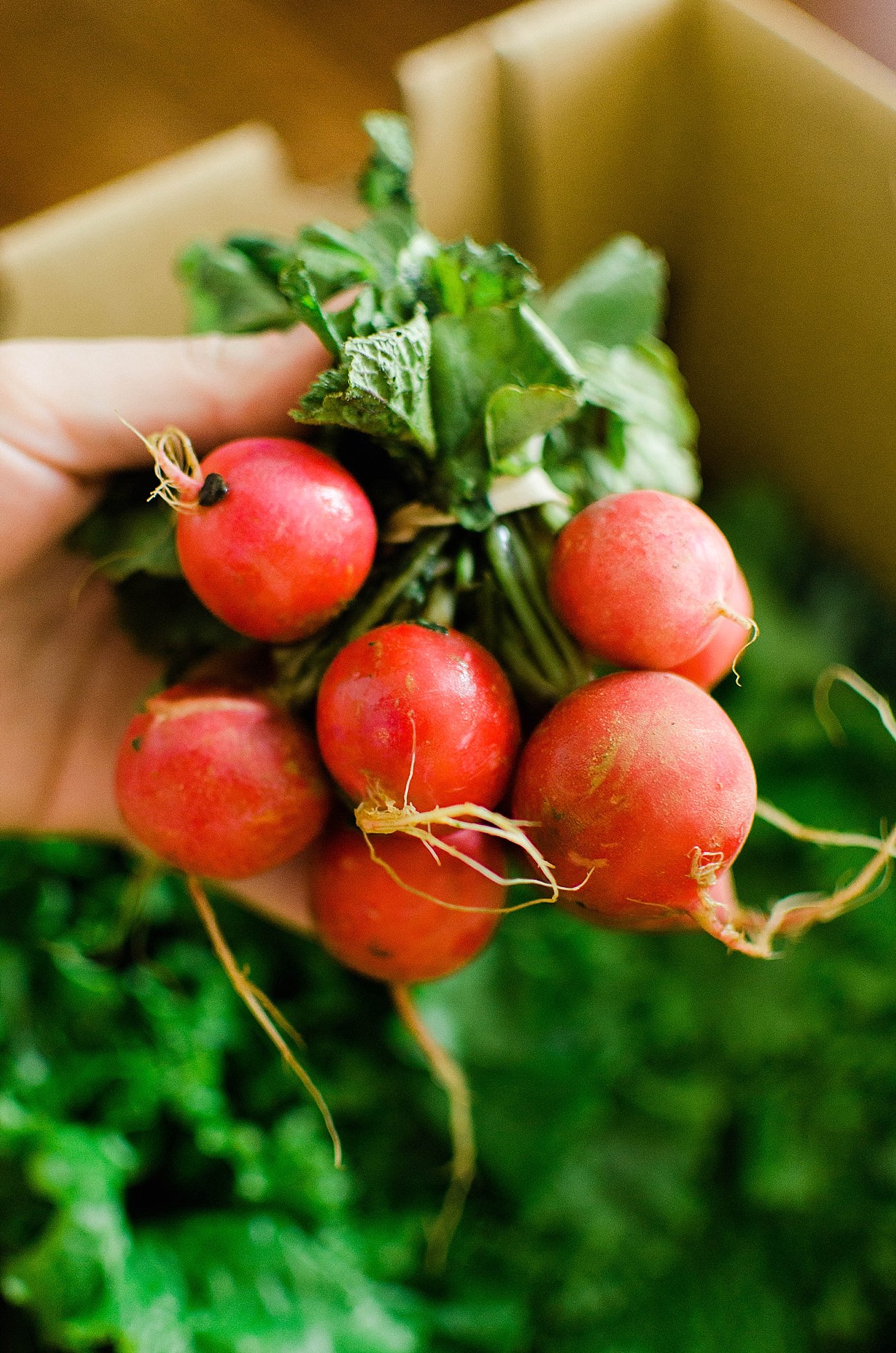 Grocery Delivery? YES, PLEASE! - Still Being Molly