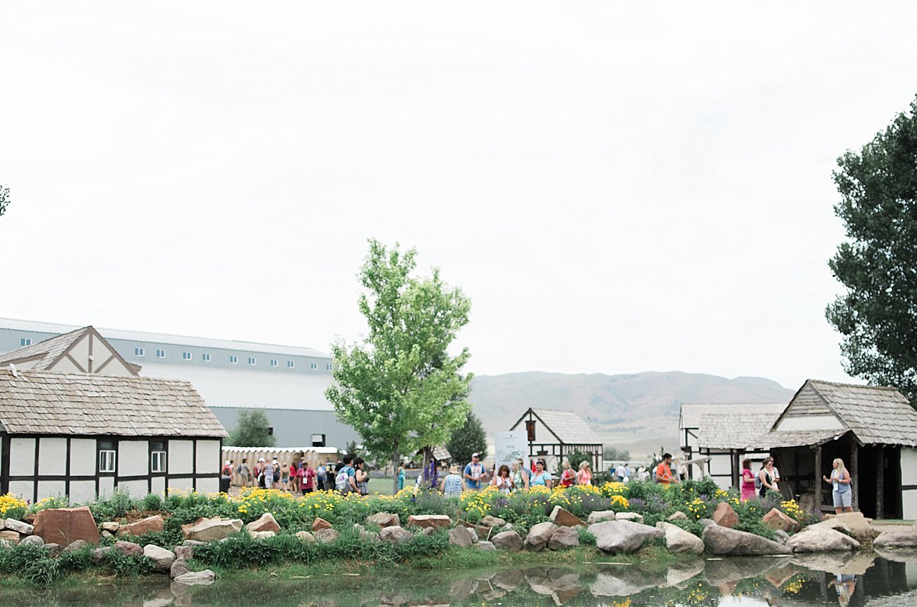 In the Lavender Fields - Still Being Molly
