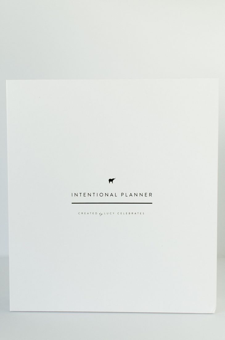Taking on 2017 with The Intentional Planner (and Planner Giveaway ...