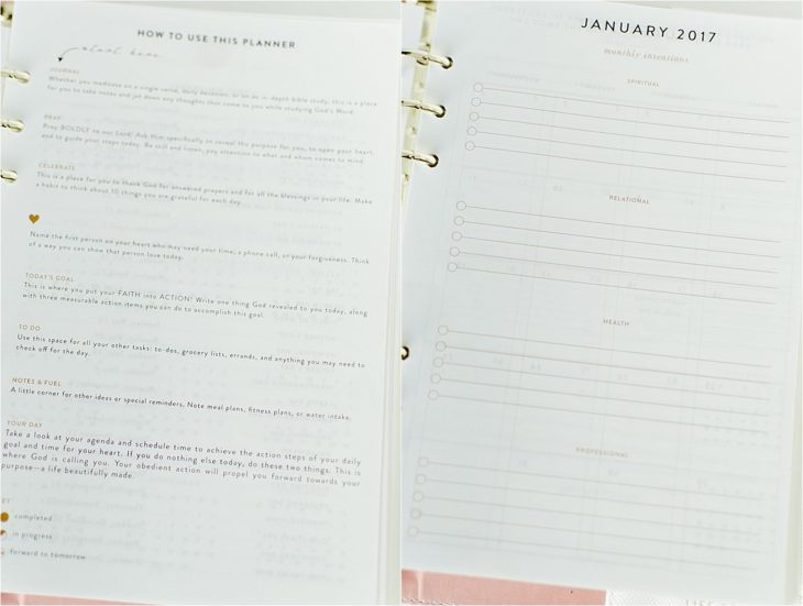 Taking on 2017 with The Intentional Planner (and Planner Giveaway ...