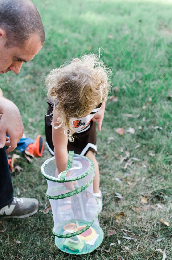 Insect Lore Original Butterfly Garden Review | Still Being Molly